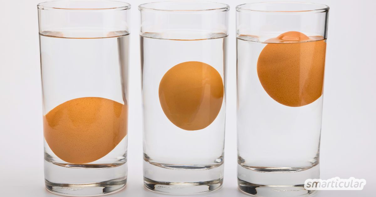 Eier-Test: Wie weiß ich, wann ein Ei nicht mehr frisch ist ...
