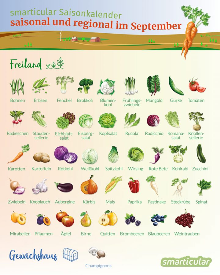 Saisonkalender September - Obst und Gemüse aus der Region – smarticular ...