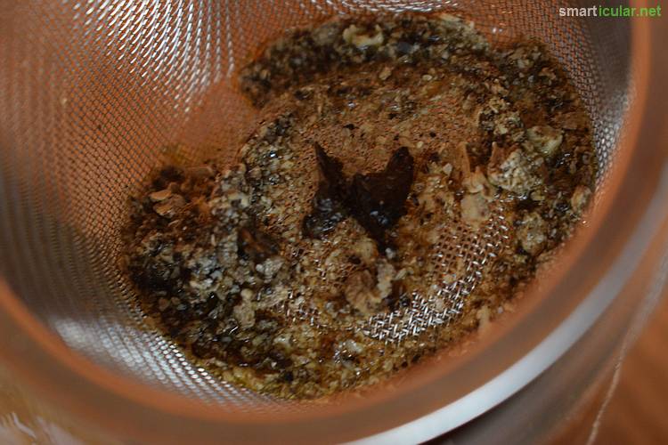 Heilsame Propolis-Tinktur selbst herstellen – smarticular Verlag