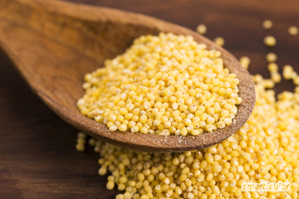 Hirse: Süß und herzhaft, glutenfrei und gesund