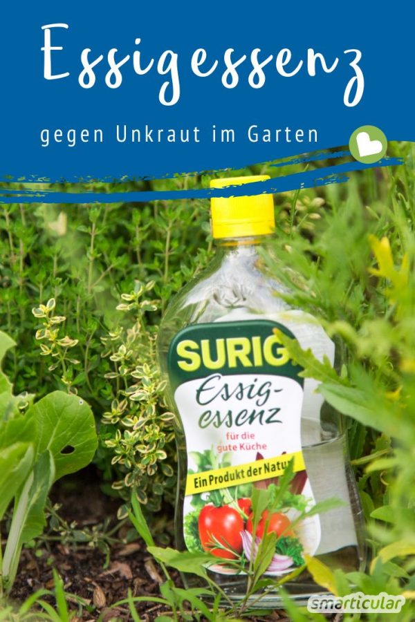 Essig Gegen Unkraut Mischungsverhältnis