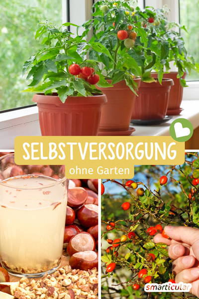 Selbstversorgung für jeden - auch ohne eigenen Garten