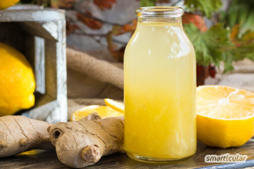 Ingwertee - Zubereitung und Wirkung des gesunden Aufgusses