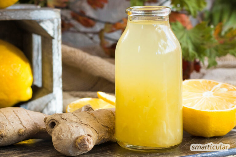 Ingwertee - Zubereitung und Wirkung des gesunden Aufgusses