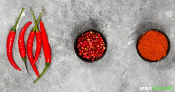 Warum scharfes Essen gesund ist und glücklich macht