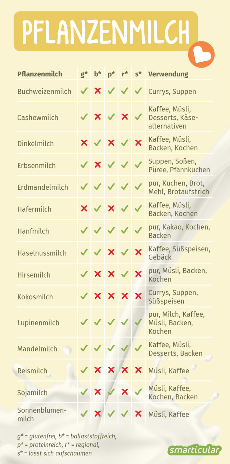 Pflanzenmilch selber machen - die besten Kuhmilch-Alternativen ...