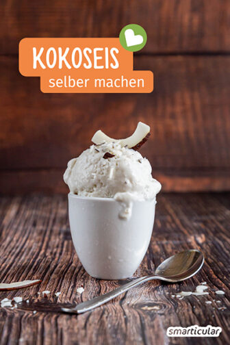 Kokoseis Selber Machen Mit Eismaschine