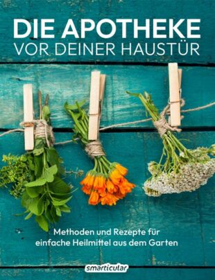 Tschurtschchela: Rezept für georgisches Fruchtkonfekt mit Walnüssen