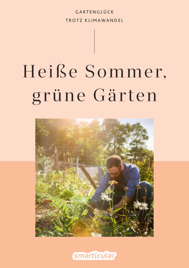 Dieses sonnige Sandbeet lieben fast alle Blumen (mit Anleitung ...