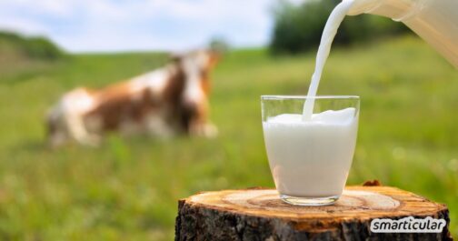 Soja oder Milch: Was ist besser für dich und die Umwelt? – smarticular ...