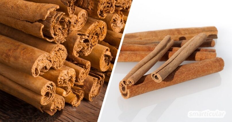 Diesen selbstgemachten Zimtsirup haben wir immer vorrätig – smarticular ...