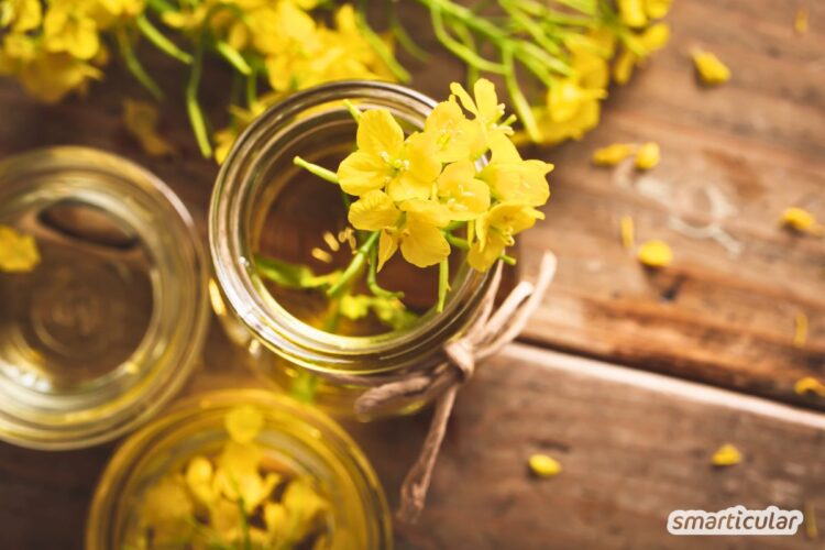 Welches Öl zum Braten? So findest du das passende Fett – smarticular Verlag