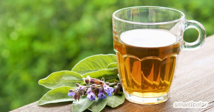 Salbeitee selber machen - so wirkt das Naturheilmittel – smarticular Verlag